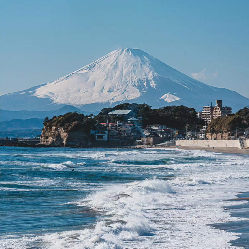 [One-day tour in Kamakura] Kamakura High School, Kamakura Buddha, and ...